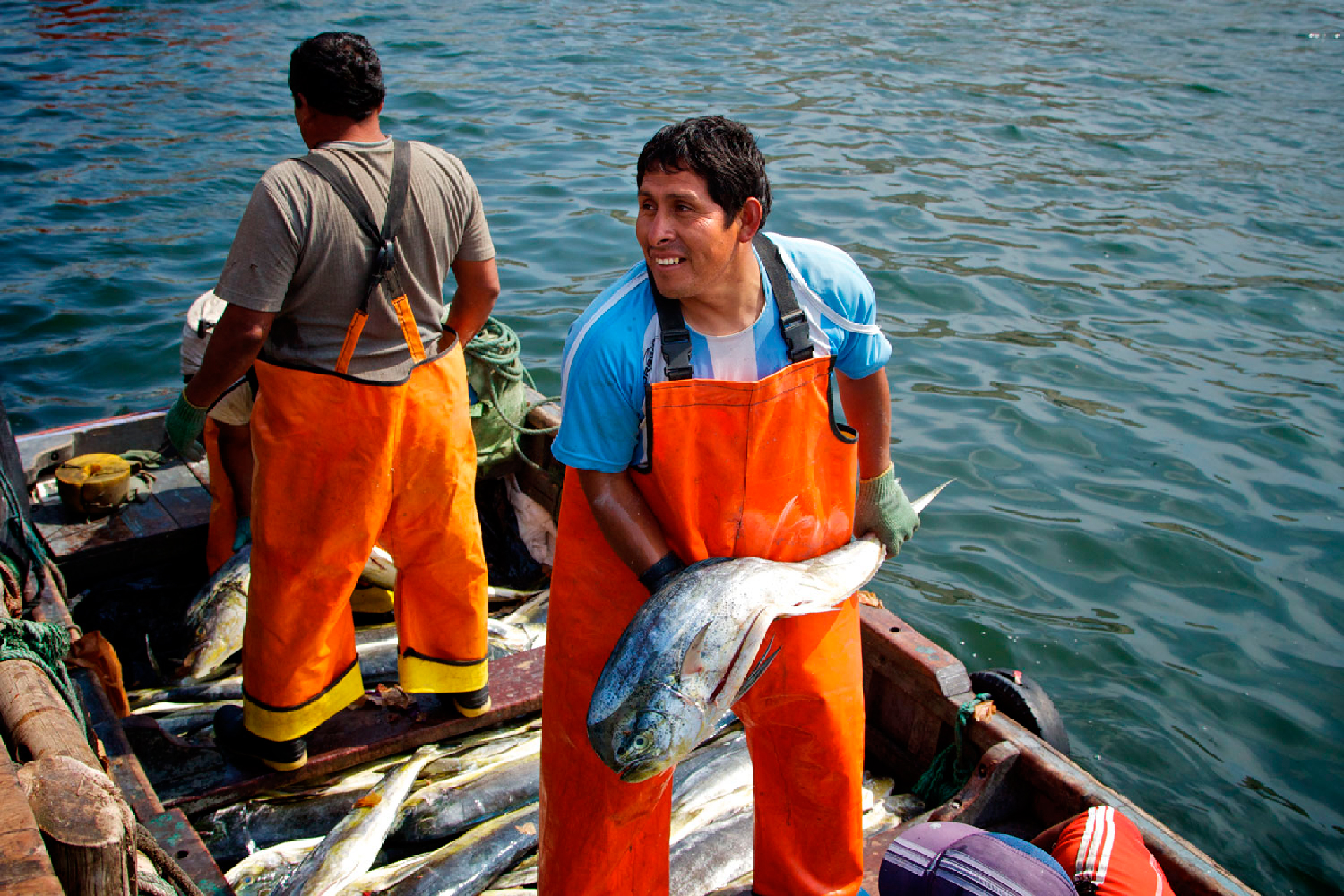 Perú con P de Perico: cómo potenciar un recurso sin agotarlo | WWF